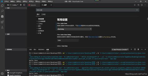 vs code 配置java c cpp compile run run in external terminal csdn博客