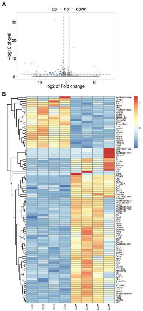 Frontiers Integrating Transcriptomics And Metabolomics To Analyze The
