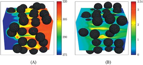 immersed boundary method for multiphase transport phenomena