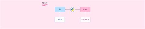 What Is Identity Operator In Python Scaler Topics