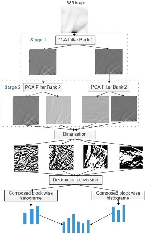 3d palmprint recognition using unsupervised convolutional deep learning network and svm