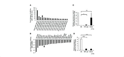 Top 20 Differential Expression Levels Of MiRNAs And MRNAs In CD4 T