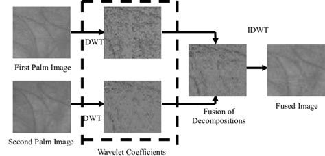 wavelet based palmprint fusion technique using haar wavelet fused download scientific