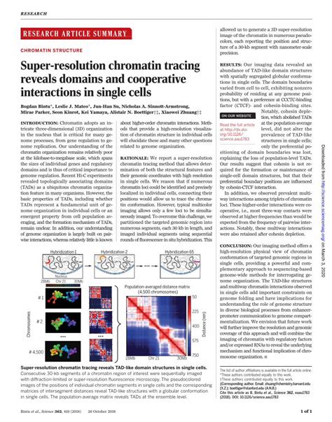 pdf chromatin structure super resolution chromatin tracing · research article chromatin