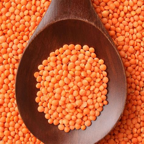 Todo Sobre Las Lentejas Indias Daals Y Los Frijoles