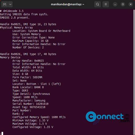 How To Check Installed RAM On Ubuntu CONNECTwww