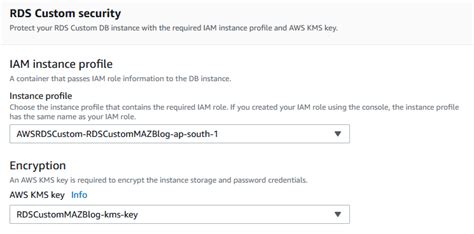 Configure Multi AZ With Amazon RDS Custom For SQL Server AWS Database