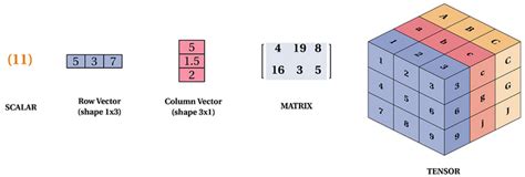 pytorch 基础 tensor 数据结构 知乎