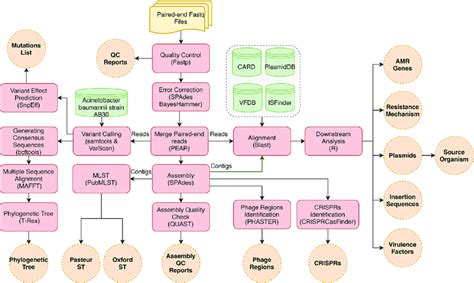 bioinformatics workflow the workflow shows the bioinformatics pipeline download scientific
