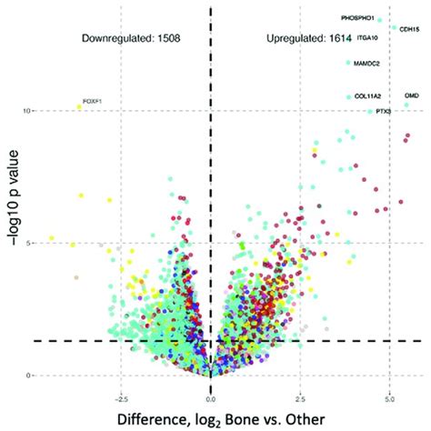 Differential Gene Expression Analysis Identified 3122 Genes That Were