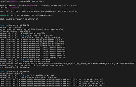 backup cdb container database and pdb pluggable database datalinks vn