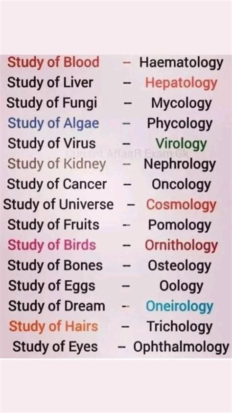 Different Imaging Tests Explained Artofit