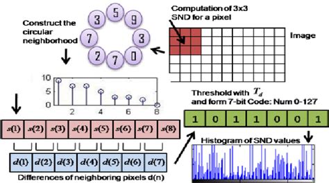 figure 2 from rotation invariant texture feature extraction based on sorted neighborhood