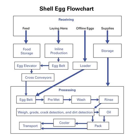 Haccp Flow Diagram Why Is It Important Haccp Critical Hazard