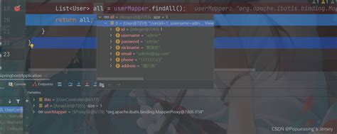 springboot集成mybatis实现数据查询 spring boot mybatis查询数据库表的列信息与实体类对应 csdn博客