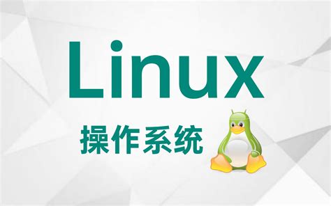 这可能是b站讲的最好的 linux教程，从入门到精通到精通全套完整版（适合 linux 入门、初学linux小白） 哔哩哔哩 bilibili