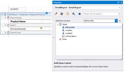 Create Drill Down Reports DevExpress End User Documentation