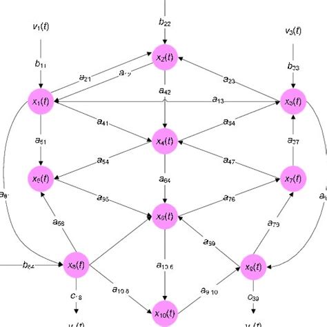 a simple linear stochastic biological network with stochastic dynamic download scientific