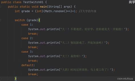 【java入门】八 控制语句之选择结构 if结构和switch结构 java switch 和 if csdn博客