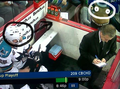 Flashing At Hockey Game