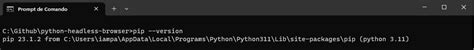 Headless Browser In Python And Selenium