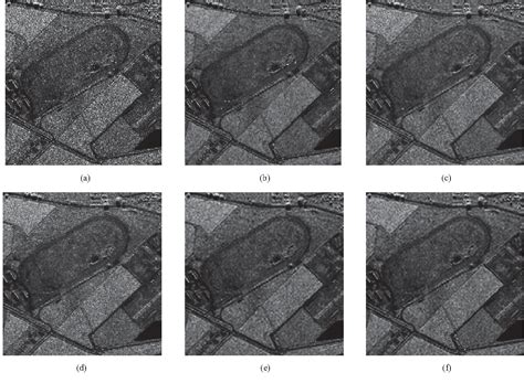figure 2 from dual tree complex wavelet transform based sar image despeckling semantic scholar