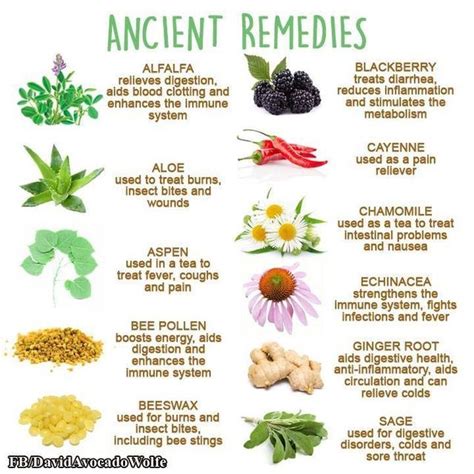 Natural Medical Remedies At April Kiesel Blog