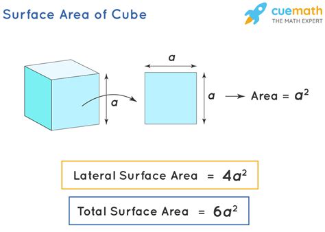 cube shape definition net examples formulas