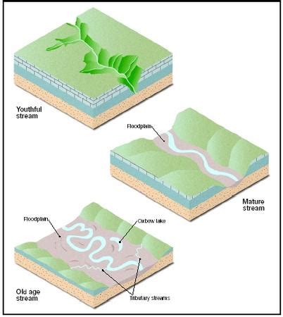 Geography 12 Stream Cycle