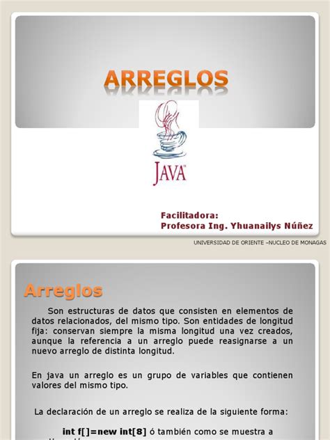 ordenamiento de arreglos pdf estructura de datos de matriz java lenguaje de programación