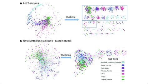 networks of oral samples and their clustering by the markov download scientific diagram
