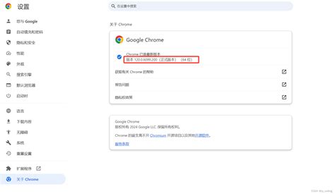selenium安装webdriver最新chrome驱动 谷歌浏览器webdriver的最新驱动包 csdn博客