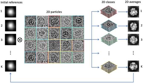 a basic introduction to single particles cryo electron microscopy