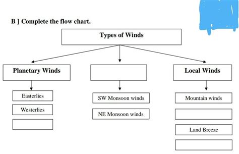 Complete The Flow Chart Please Help Brainly In