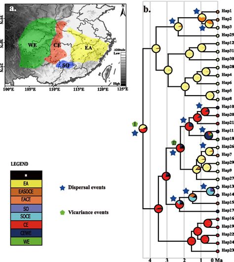 ancestral areas reconstructed with the bayesian binary mcmc method download scientific diagram