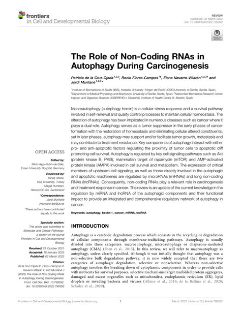 pdf the role of non coding rnas in autophagy during carcinogenesis