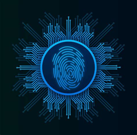 Cyber Security Vector Logo With Shield And Check Mark Security Shield