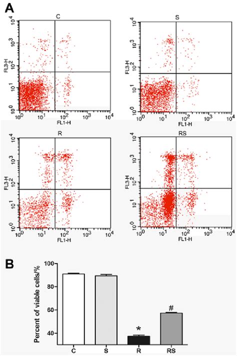 Representative A Flow Cytometry Charts And B Statistics Showed That