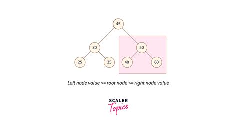 Types Of Trees In Data Structures Scaler Topics
