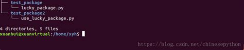 python导包的几种方法 自定义包的生成以及导入详解 csdn博客