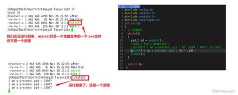 【linux系统编程】进程概念详解（什么是进程？如何查看进程？） linux进程 csdn博客