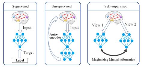 gate graph cca for temporal self supervised learning for label efficient fmri analysis