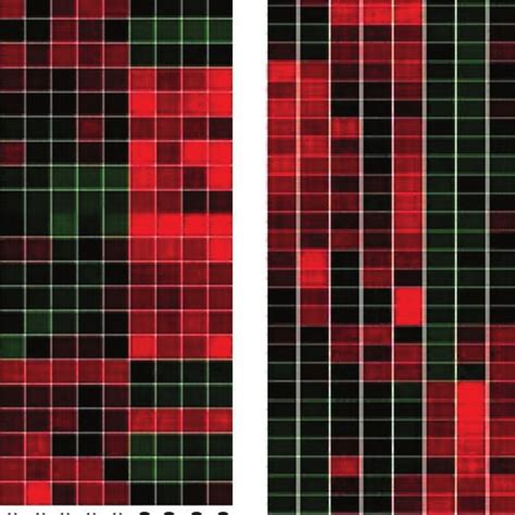 Hierarchical Clustering Based On Differentially Expressed Genes That