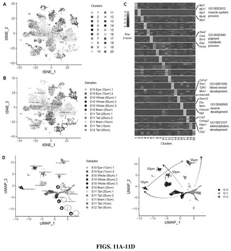 deterministic barcoding for spatial omics sequencing fan rong et al [yale university]
