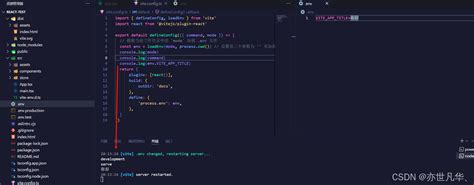 react 》如何高效管理前端环境变量：开发与生产环境配置详解 前端环境 变量 csdn博客