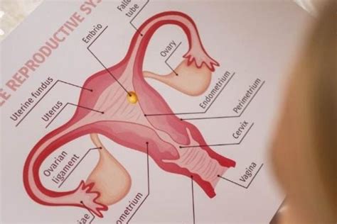 Selain Hubungan Intim Ini 7 Hal Yang Jarang Diketahui Bisa Buat Selaput Dara Robek Berikut