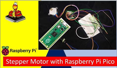 Raspberry Pi Pico Microcontrollers Lab