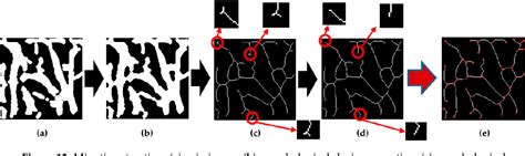 figure 1 from vein pattern verification and identification based on local geometric invariants