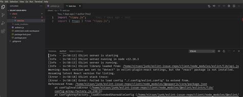 Eslint Extension Keeps Giving Errors For A Node Modules Package