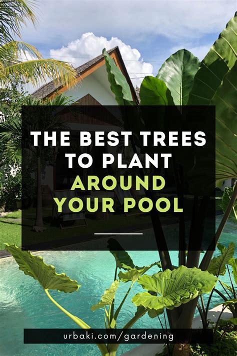 Transform Your Backyard Into A Tropical Oasis With Lush Landscape Ideas